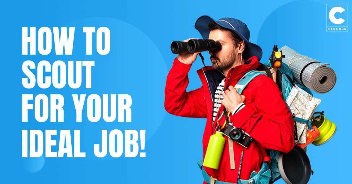Now learn how to scout for your ideal job with us right here!